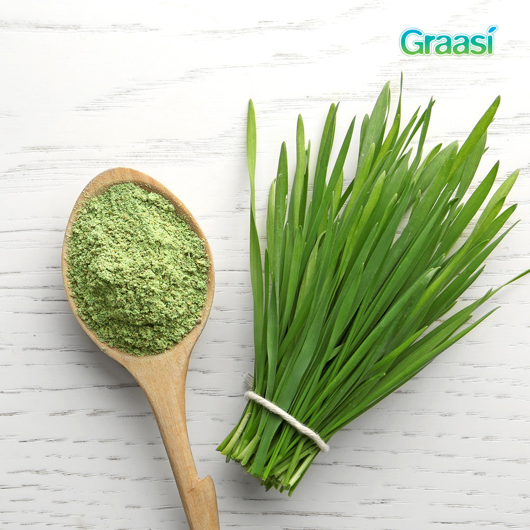 Which is Greener: Barley Grass Powder or Barley Grass Juice Powder ...